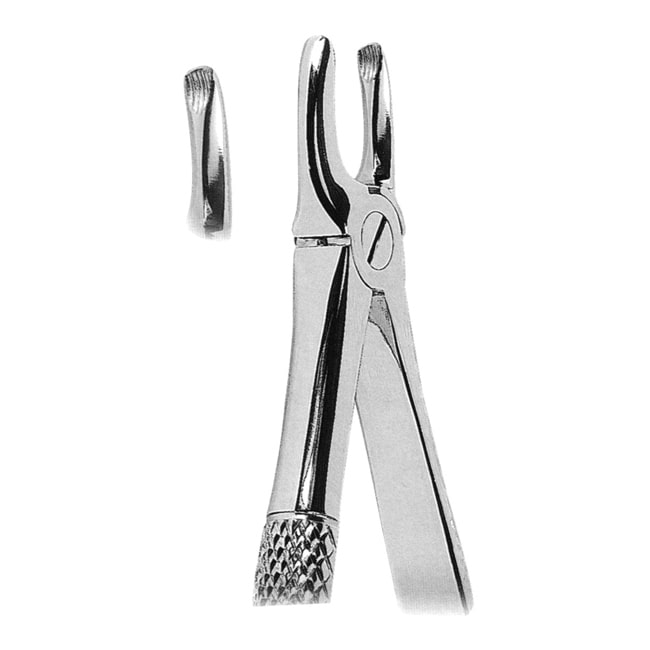 Overlapping Upper Incisors and Canines – Surgi Mount