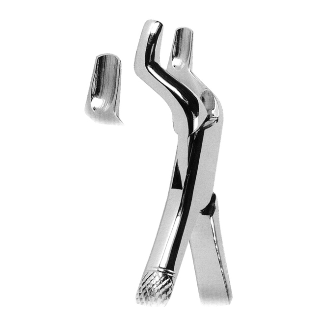 Extracting Forceps American Pattern – Surgi Mount